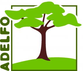 ADELFO